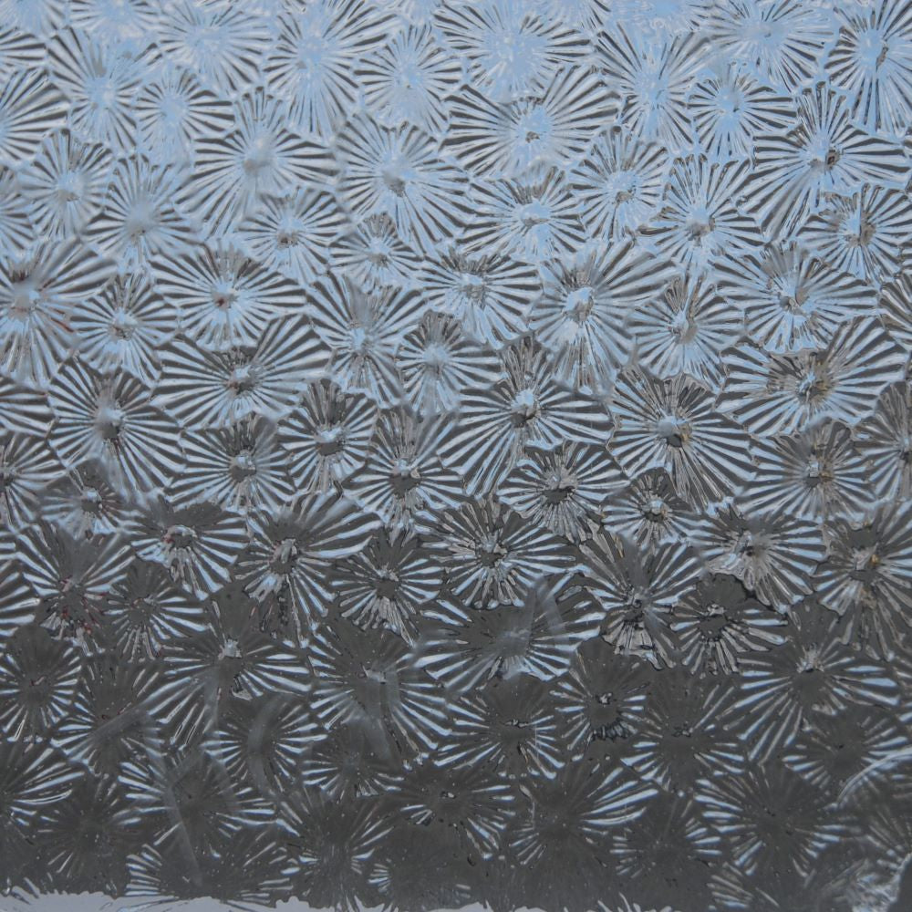 Clear Florentine T – Glass Station